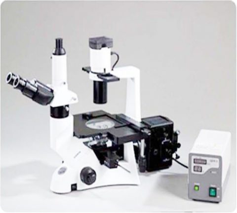 Florescent microscope | Elite Scientific and Meditech Co.